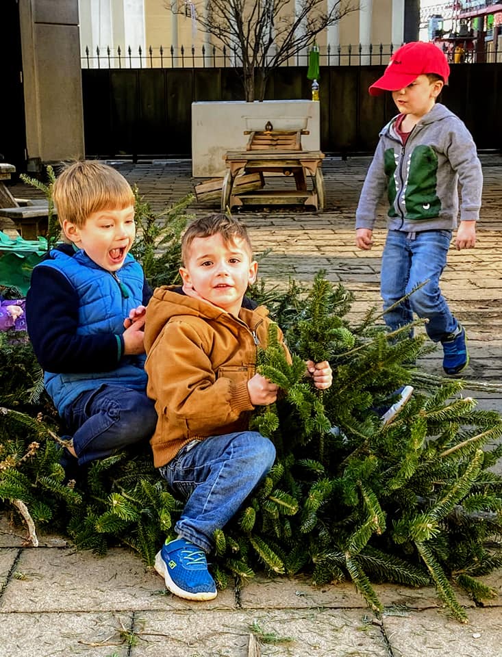 A Downtown Forest! – McKendree Daycare